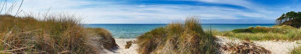 Ein Ausflug zu Prerows Sehenswürdigkeiten | REWE Reisen