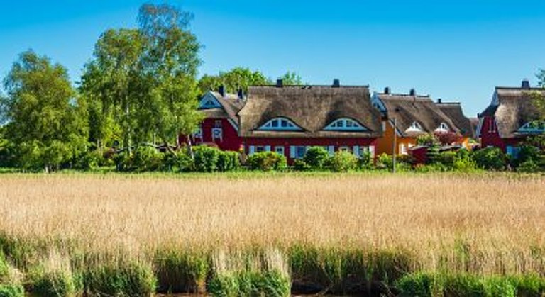 Ein Ausflug zu Prerows Sehenswürdigkeiten | REWE Reisen