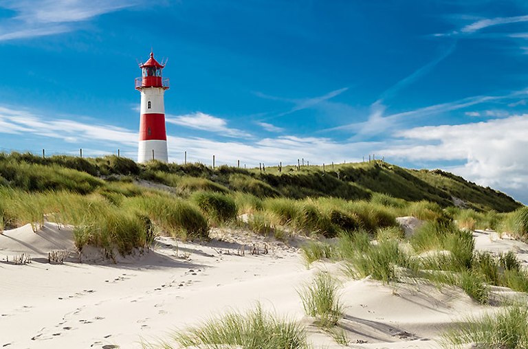 Nordsee Urlaub: Günstig ans Meer | REWE Reisen